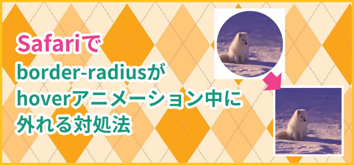 【バグ】Safariでborder-radiusがhoverアニメーション中に効かない場合の対応 | hirakublog ヒラクブログ